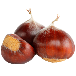 Matériel et Machine pour les châtaignes - Mulot Agro