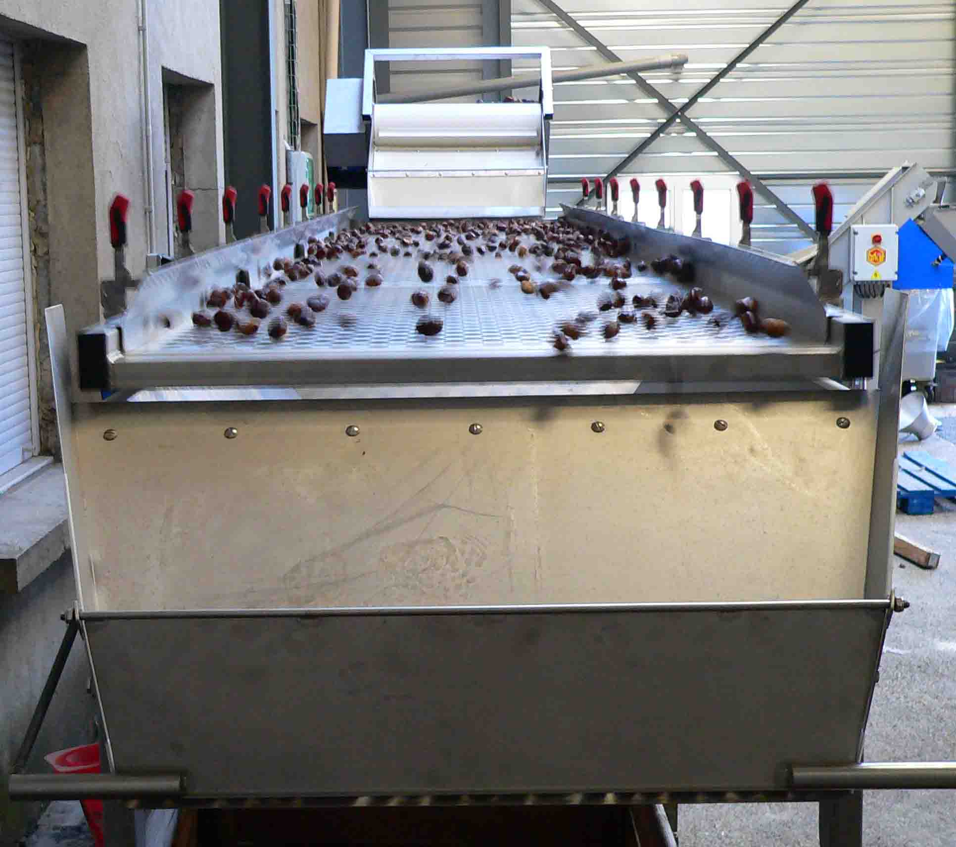 Calibreuse noix et cerneaux de noix - Matériel noix- Mulot Agro