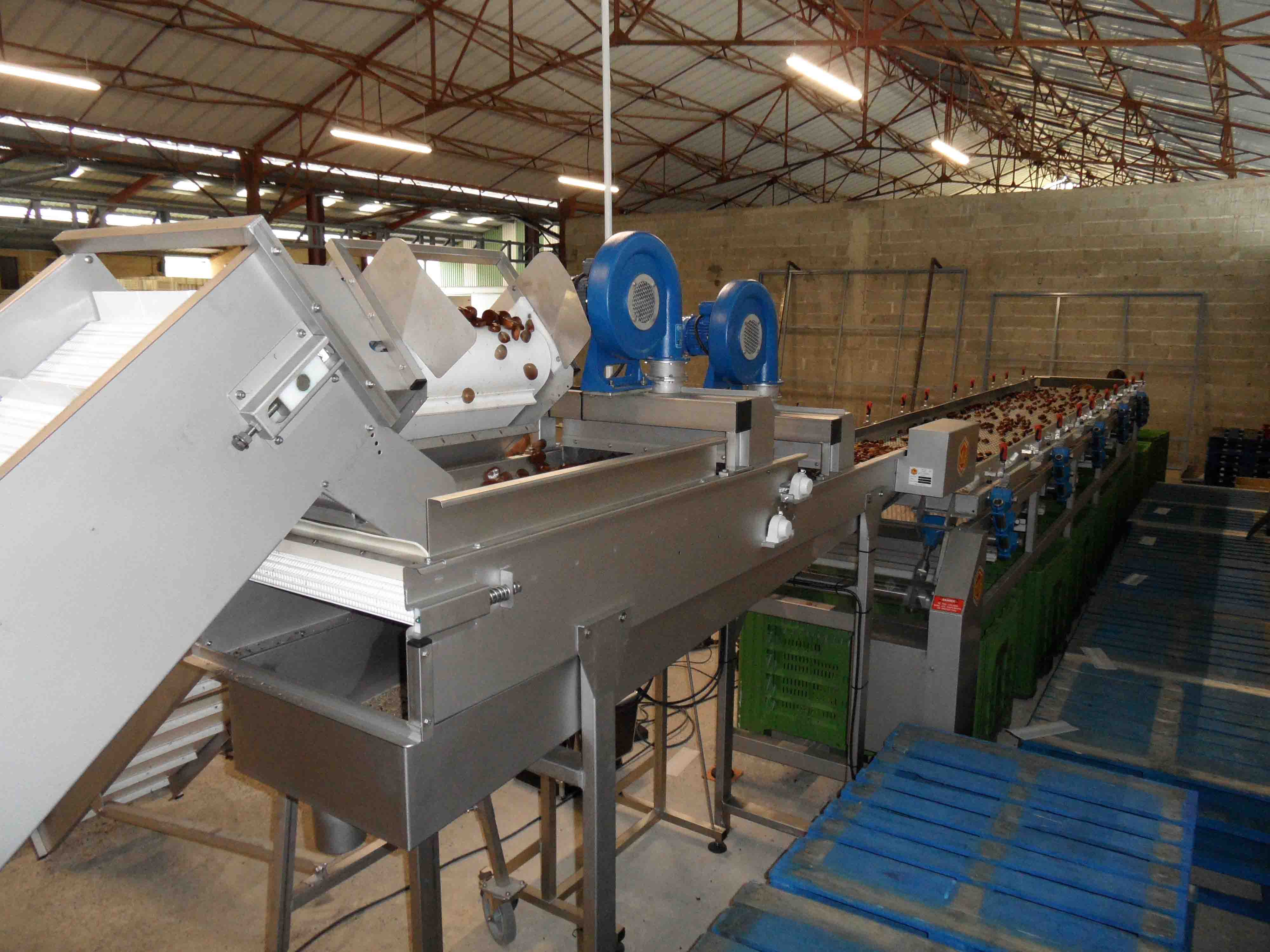 Tunnel d'égouttage pour châtaignes - matériel châtaignes - Mulot Agro